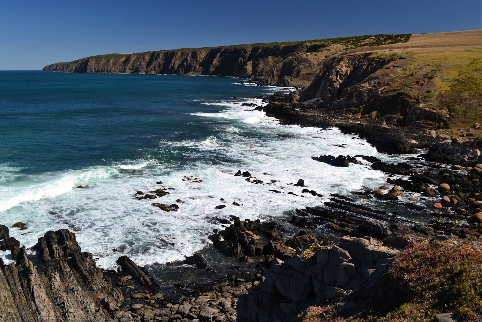 Goin' Feral One Day At A Time: Waitpinga Cliffs, Heysen Trail, Newland ...