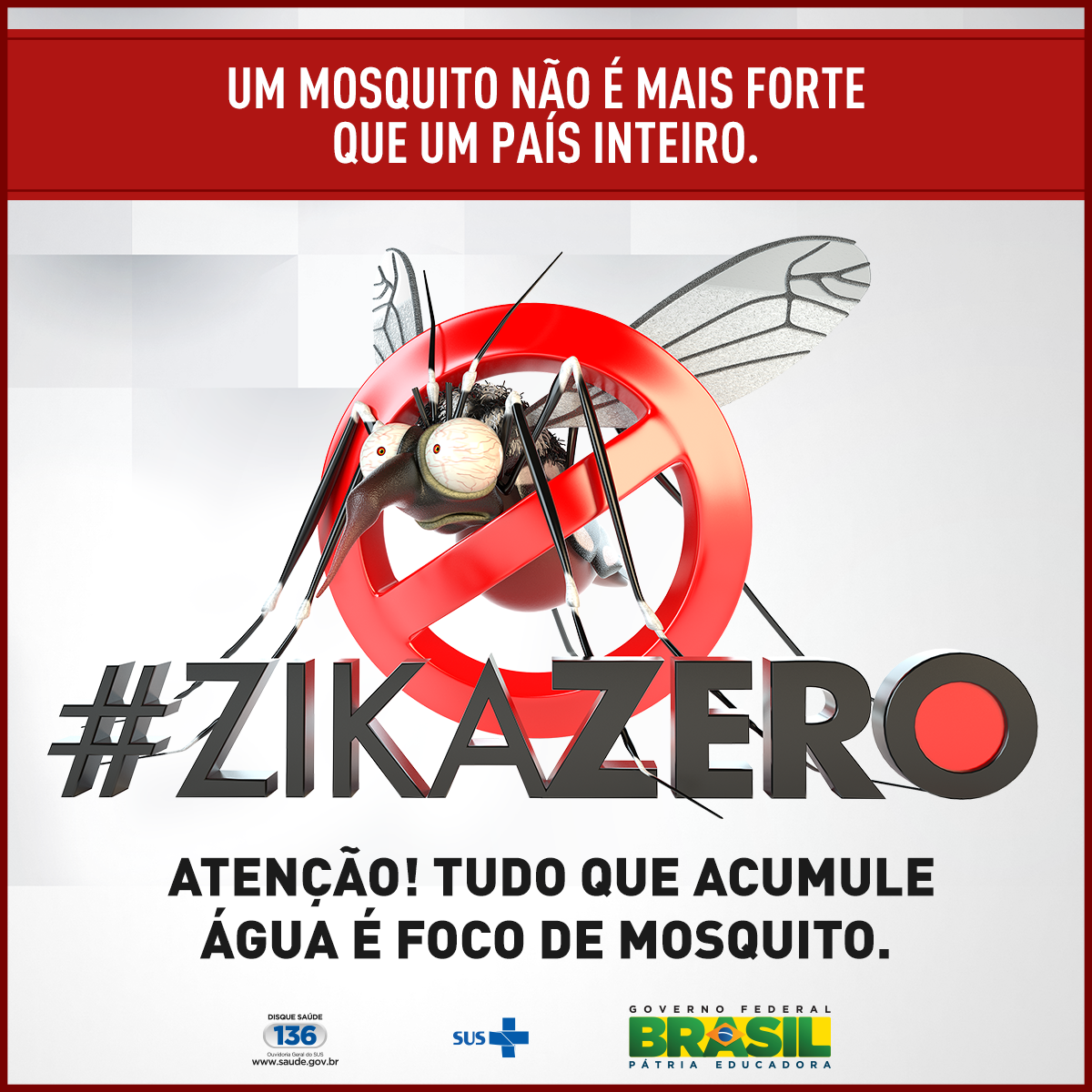 Zika, dengue e chikungunya: saiba identificar estas doenças Zika, dengue e chikungunya: saiba identificar estas doenças