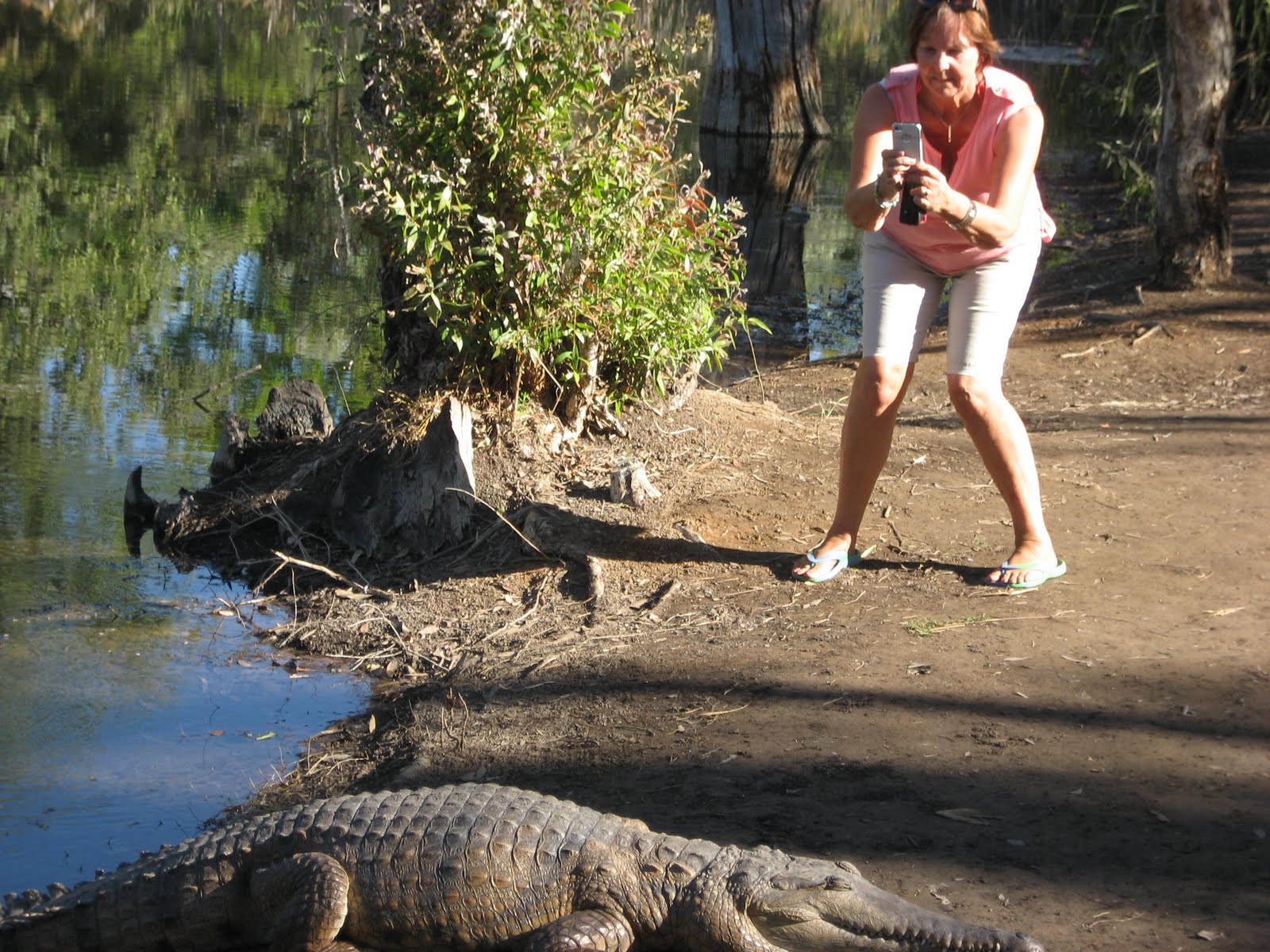 The Wandering 2's: Katherine - NT- Springvale Homestead