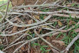 CHE"KIMIA"MISTRY : LKS Pengaruh Luas Permukaan Terhadap Laju Reaksi