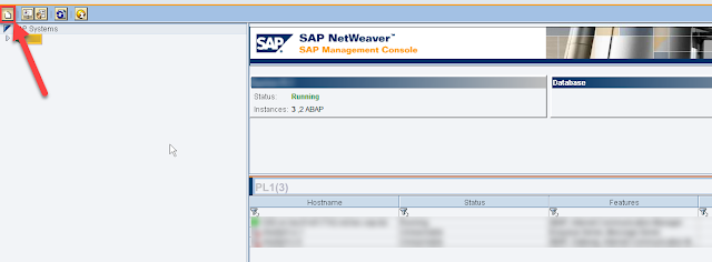 SAP BASIS MADE EASY: SAP MC