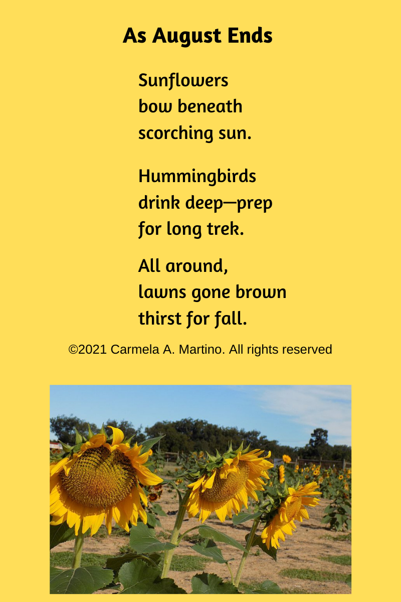 Teaching Authors--6 Children's Authors Who Also Teach Writing: Tricube ...