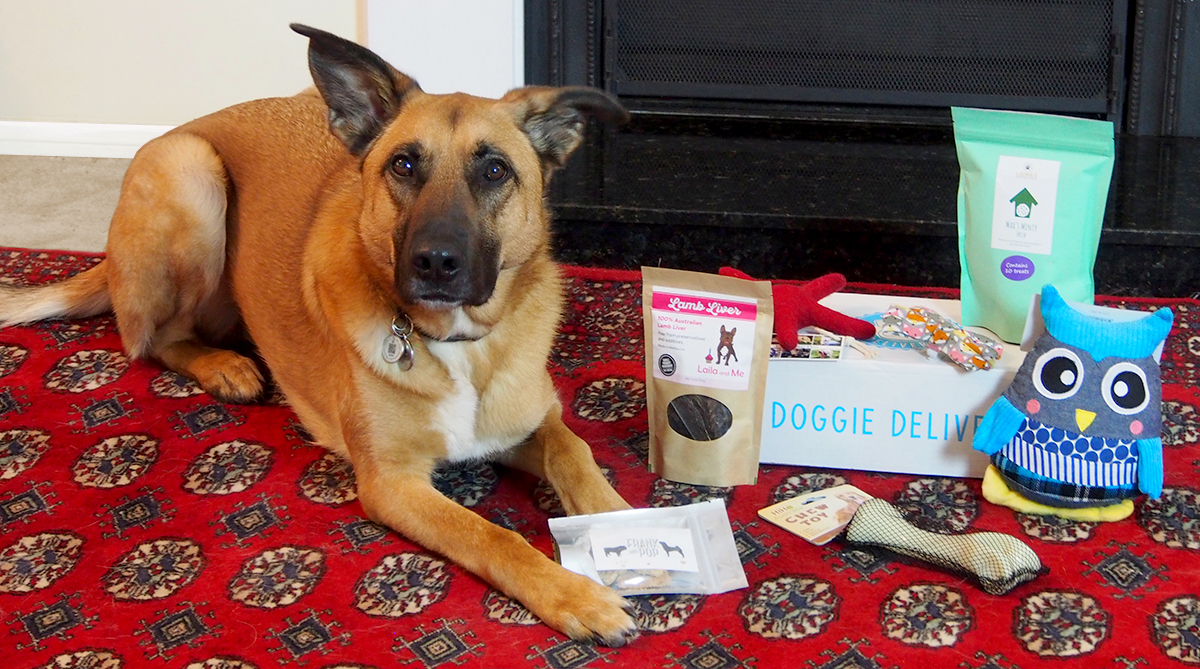Doggie Delivery Dog Subscription Box - Review - My Pets