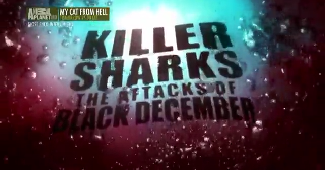 BliZZarraDas: Killer Sharks: The Attacks of Black December (2011)