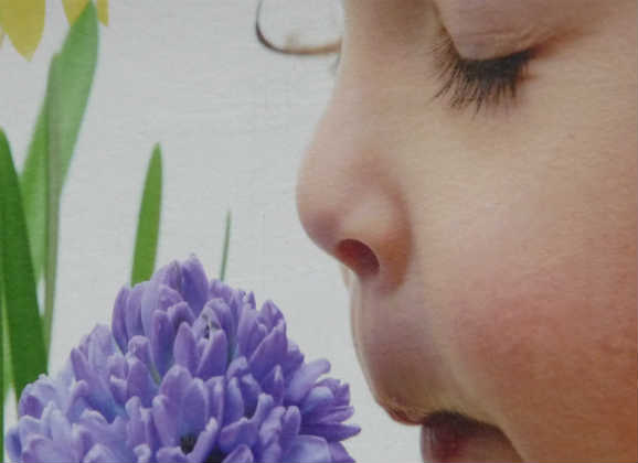 Escuela Dominical Maranatha: TEMA 1: COMO OLOR FRAGANTE (DOMINGO 3 DE ...