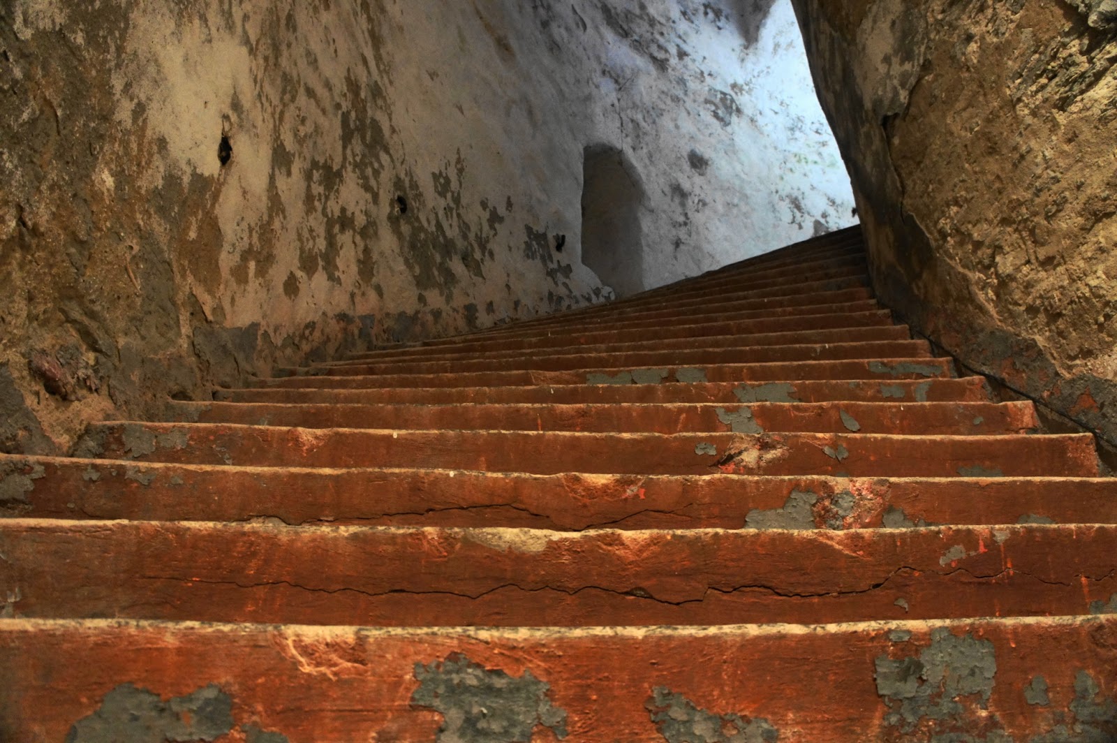 Amphibear: Keri Island in Baltic Sea
