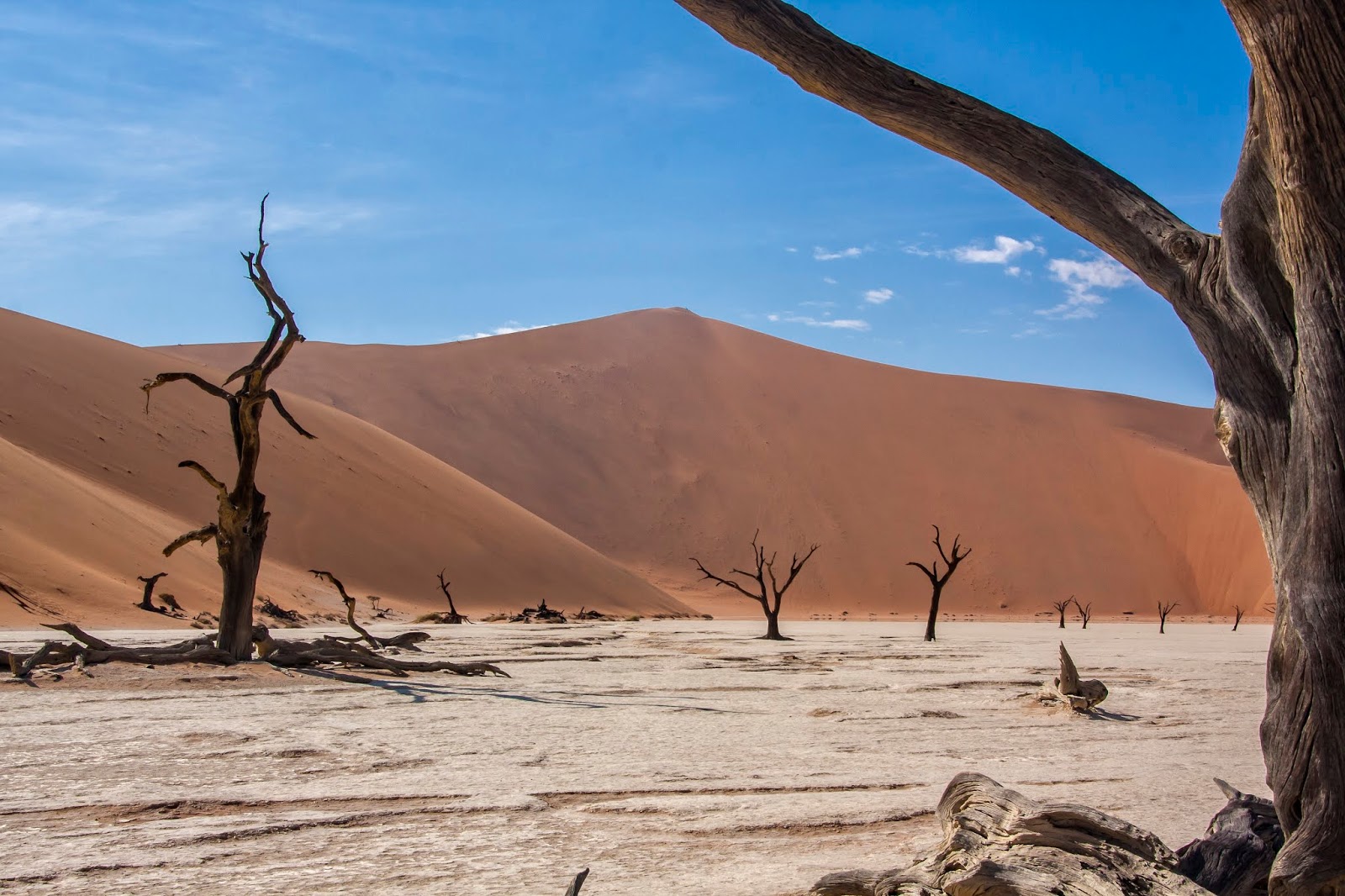 10 paradas en la ruta del Okavango