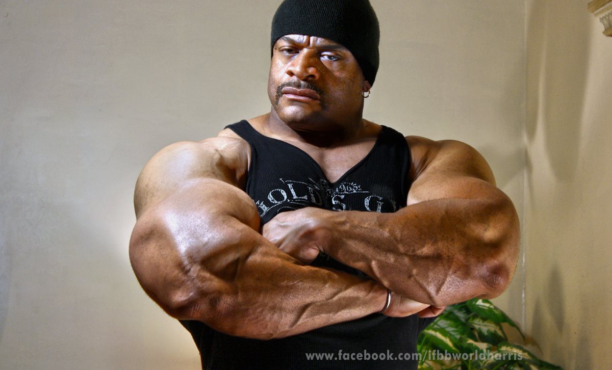 Muscle Lover: American IFBB Pro bodybuilder Will Harris