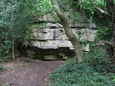 The Language of Stone: Geology in Anston Stones Wood - Part 3