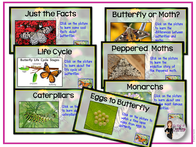 My Kind of Teaching: Life Cycle of a Butterfly Fun Research, Writing ...
