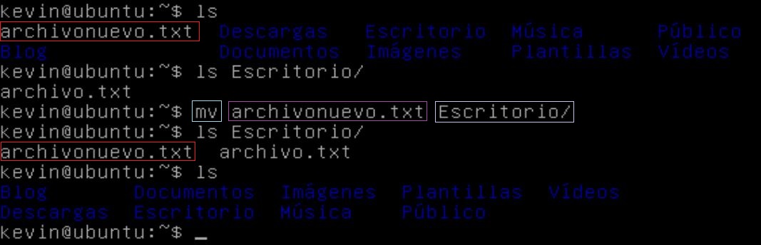 Sistemas Operativos: Comandos Básicos de GNU/LINUX