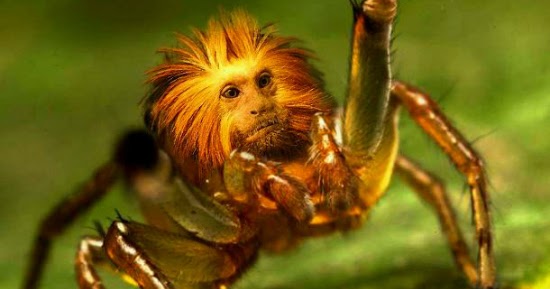 Phantoms and Monsters - Real Cryptid Encounter Reports - Fortean ...