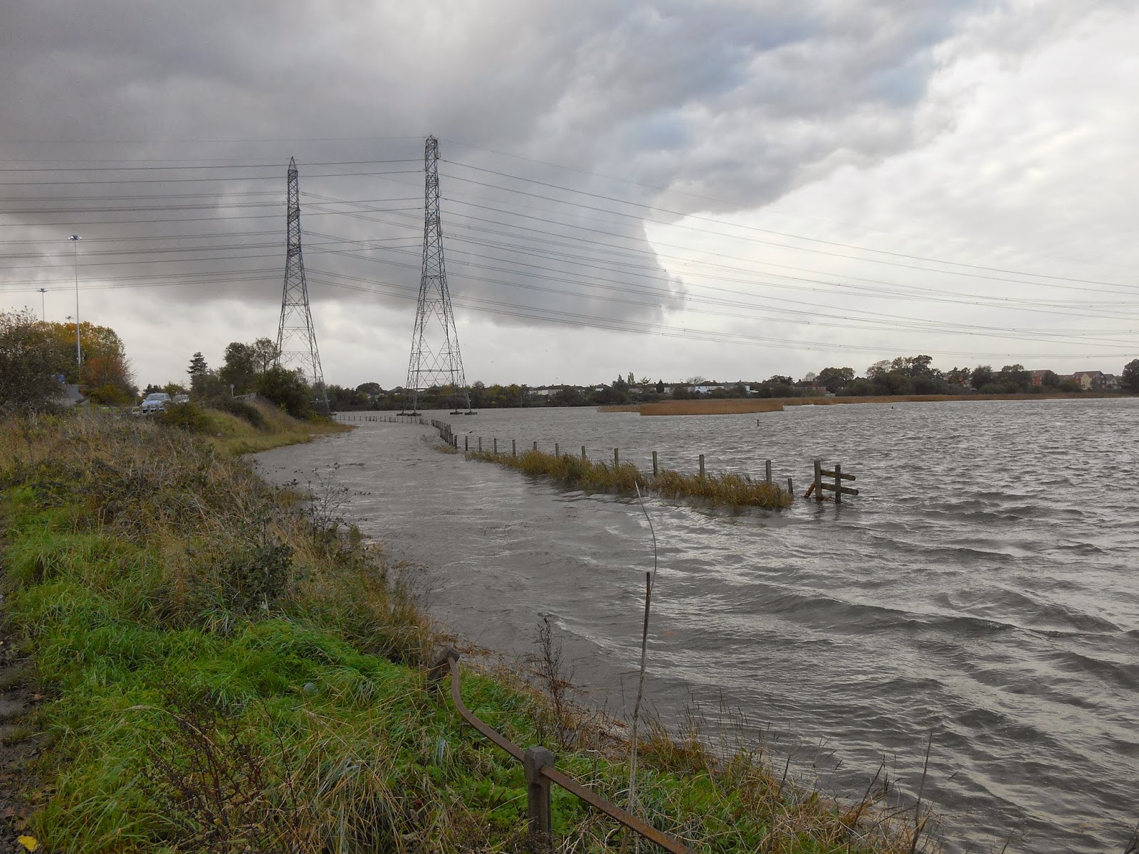 Nature Notes and Observations: High Spring Tide at Redbridge and Lower ...