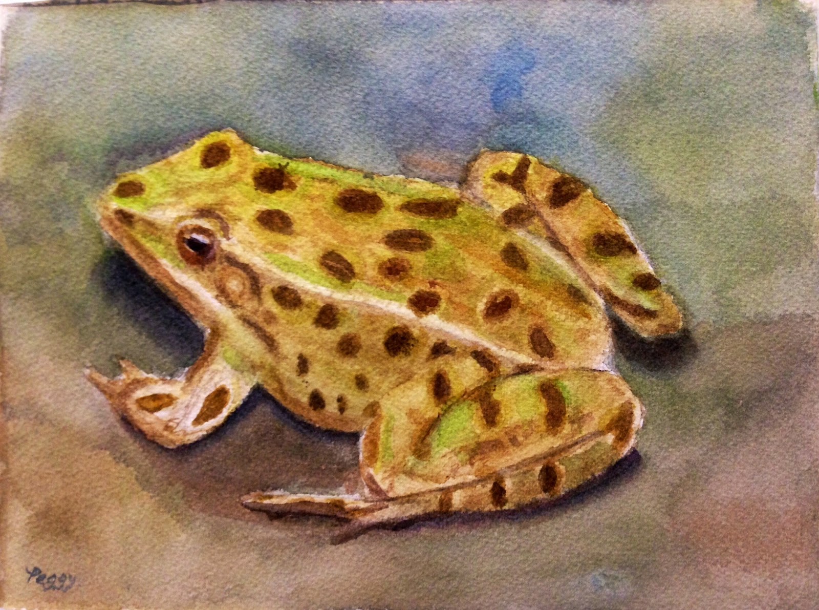 The House of Kent: Watercolor Wednesday - Frog Dreaming Update
