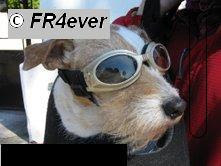 France Forever 24/7: Mots Croises de Noel (Christmas Crossword Puzzle)