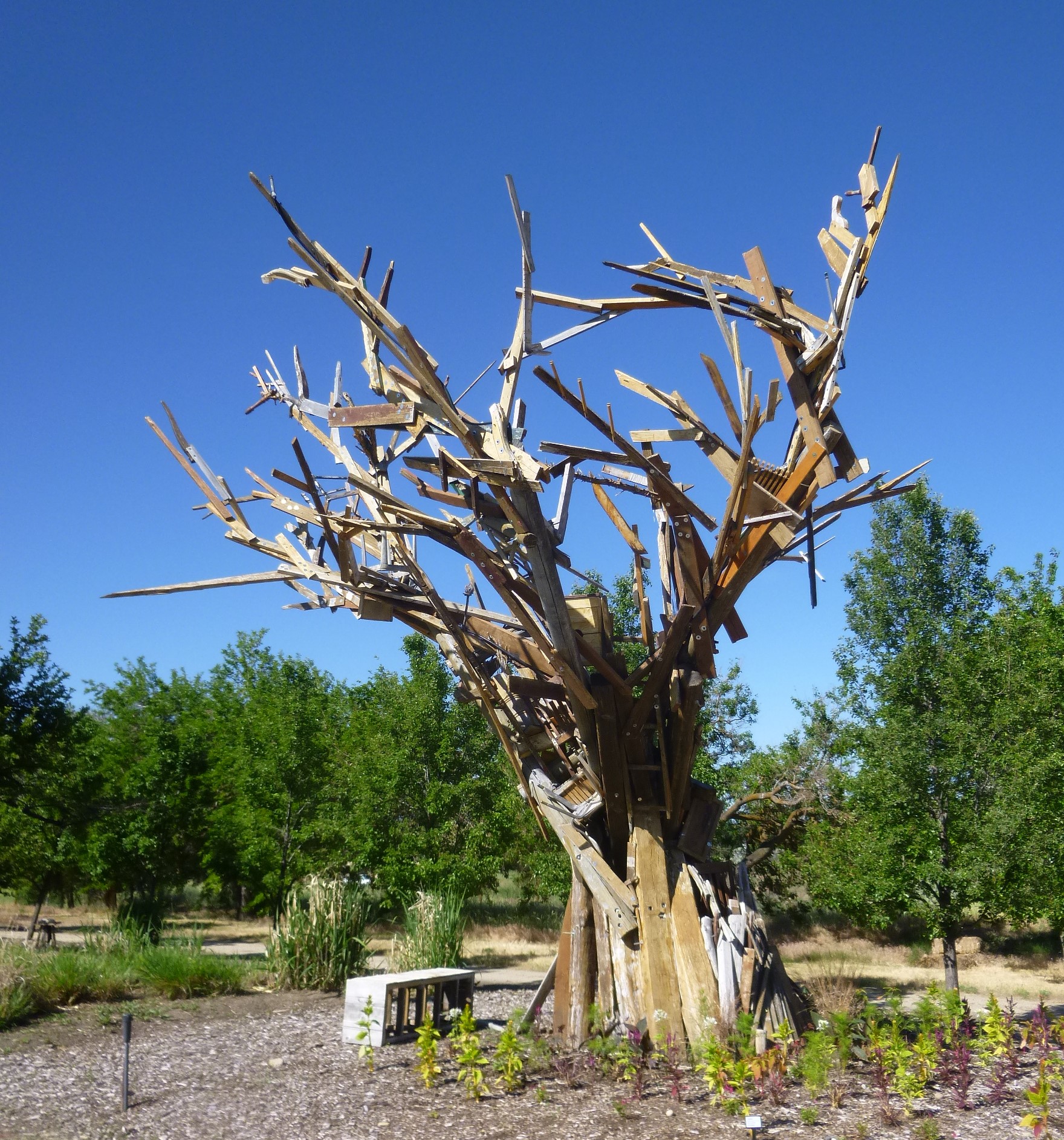 Desert Reflections: Boise Botanical Gardens