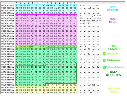 Vedant Bhatt: Dissecting the PE File Format - 2