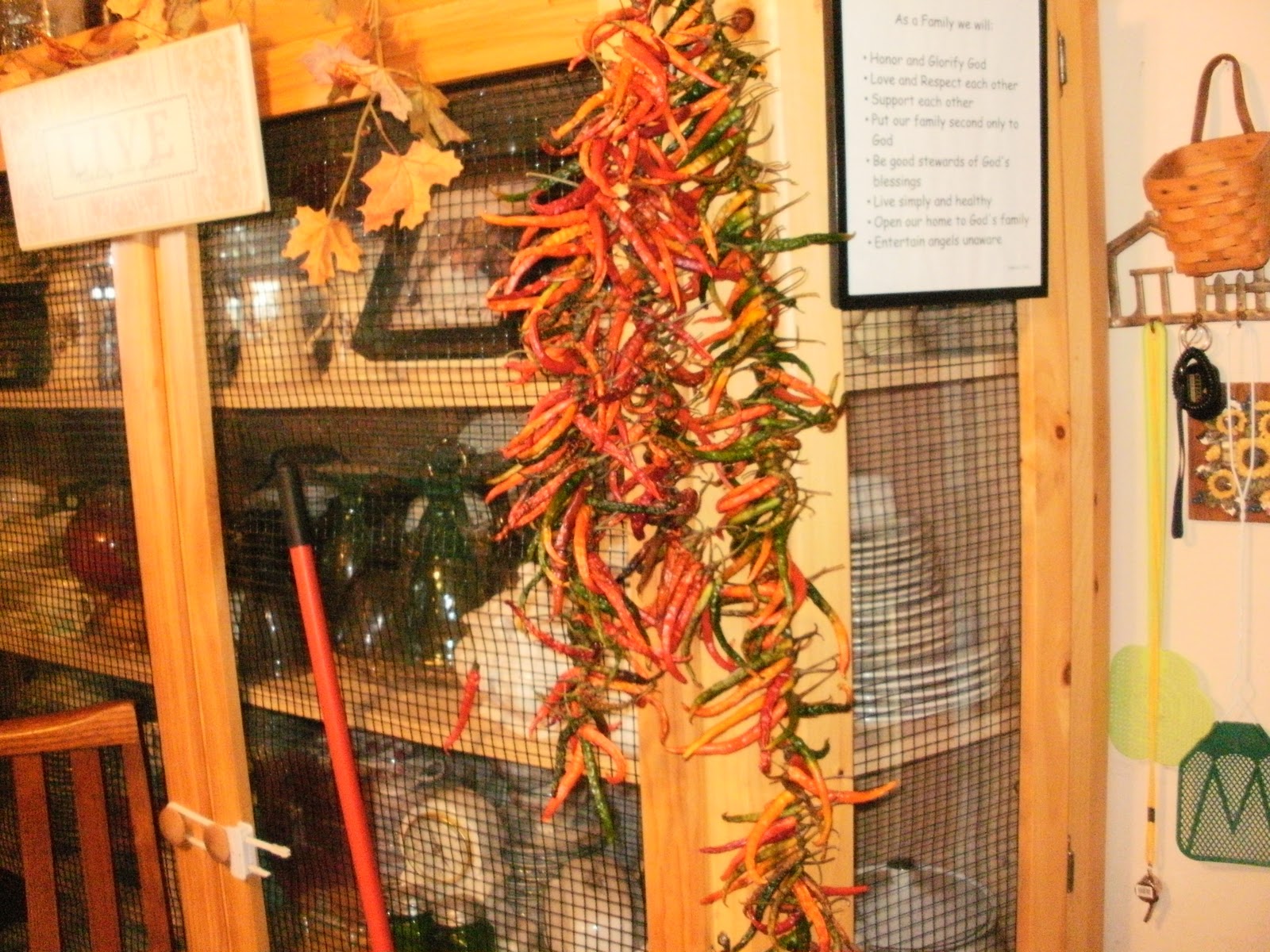 My Real Farm Life: Day 5 - Storing Vegetables in a "Root Cellar"