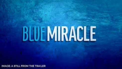 Review Filem di Netflix : Blue Miracle - Enchanted Life Begins