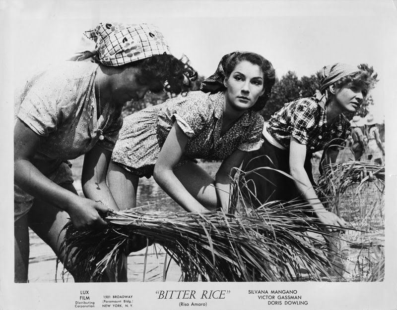 Where Danger Lives: BITTER RICE (Riso Amaro) 1949