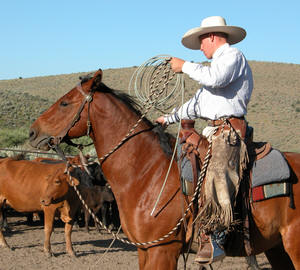 The Nevada Buckaroo [1931] - blogsglo