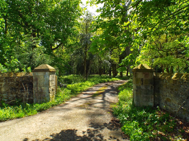 Photographs Of Newcastle: Woolsington Hall