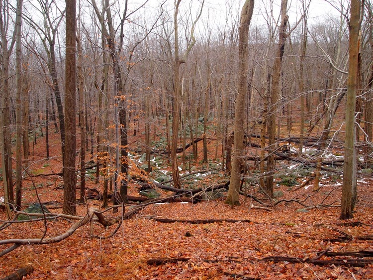 Harriman Hiker: Harriman State Park and Beyond: Goshen Mountain Loop