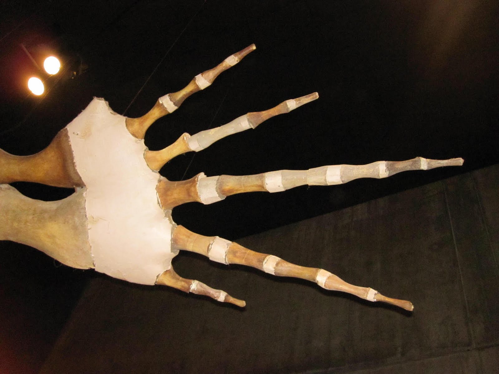 Exhibit Galleries Blog