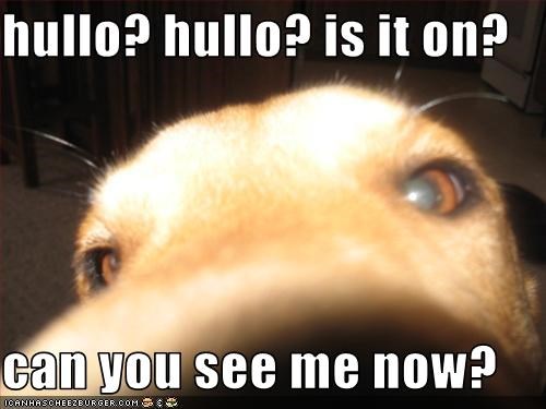 Observations From The Nuthouse: Can You See Me Now??