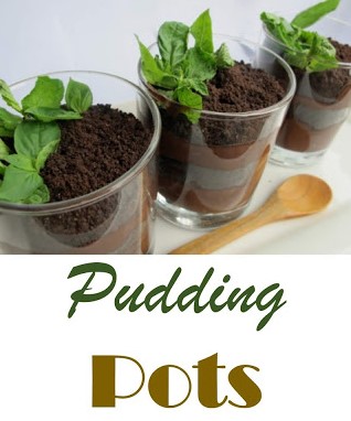 Pudding Pots