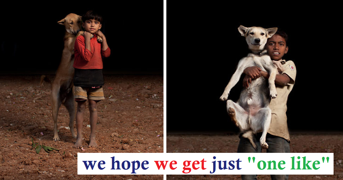 Orphan Boys Chose To Share The Little Food They Have With 10 Dogs They ...