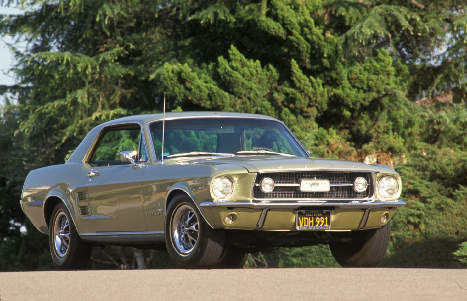Apaixonados por Carros Antigos: Mustang 1965