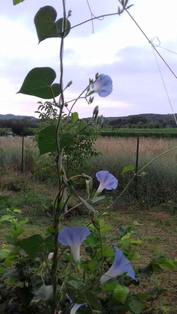 Έγινα 71 !Ε! και...: Μια βροχερή, δροσερή και ..χαρούμενη βραδιά!