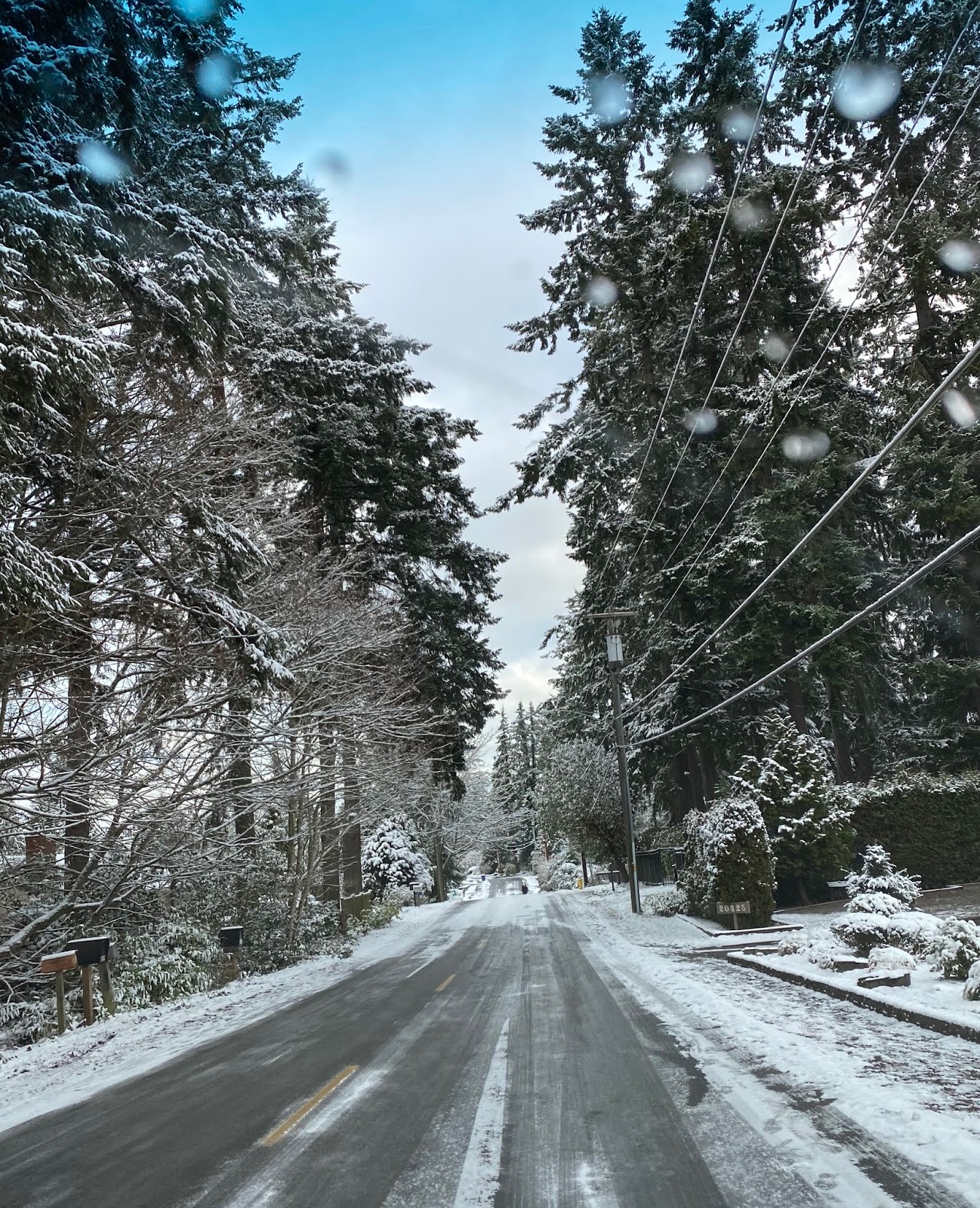 Shoreline Area News: Photos: Snow Gallery
