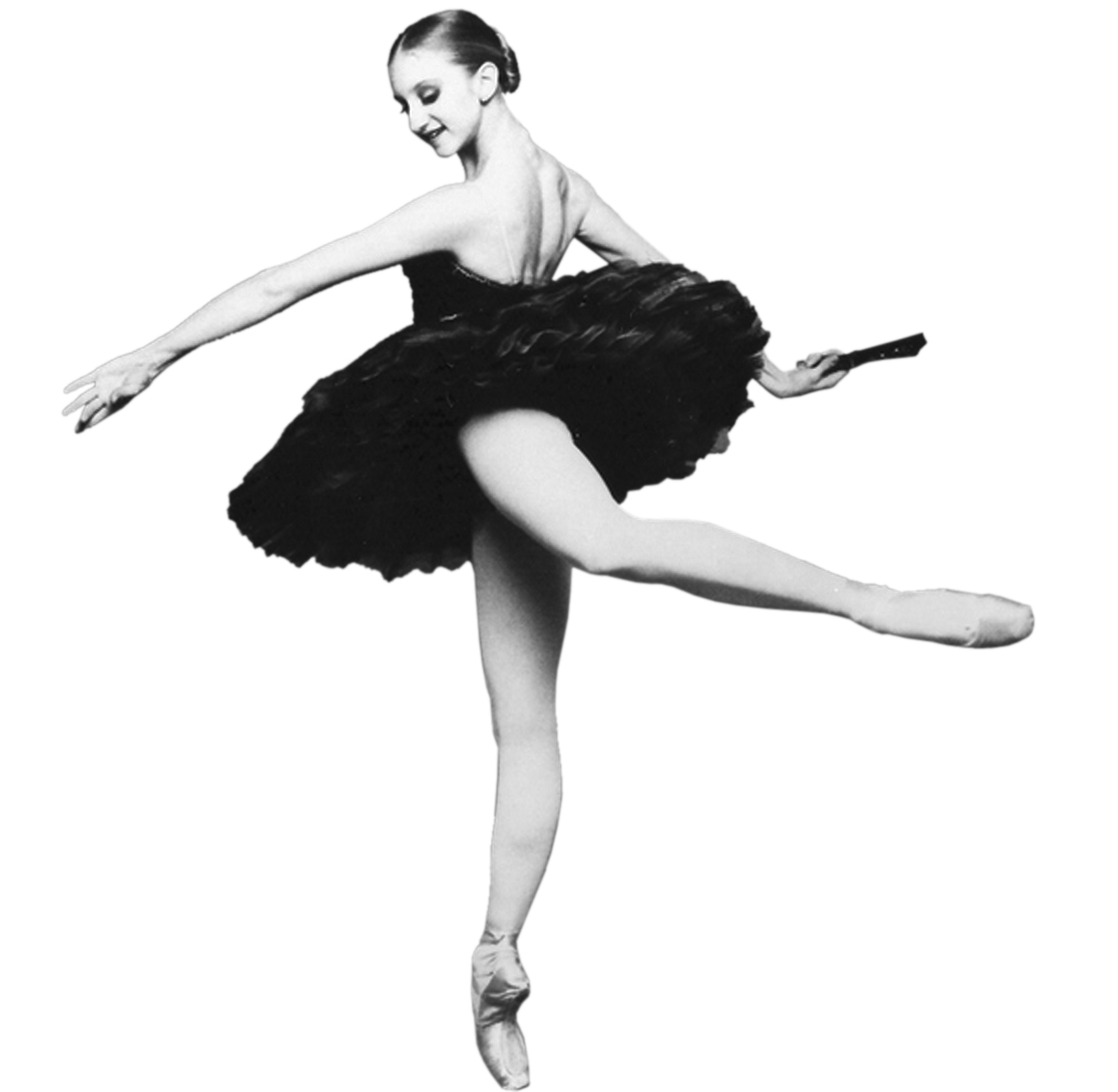 Nancy Raffa - Alchetron, The Free Social Encyclopedia