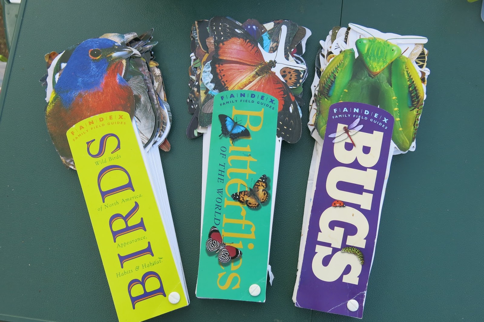 Grace and Green Pastures: Nature in the Field