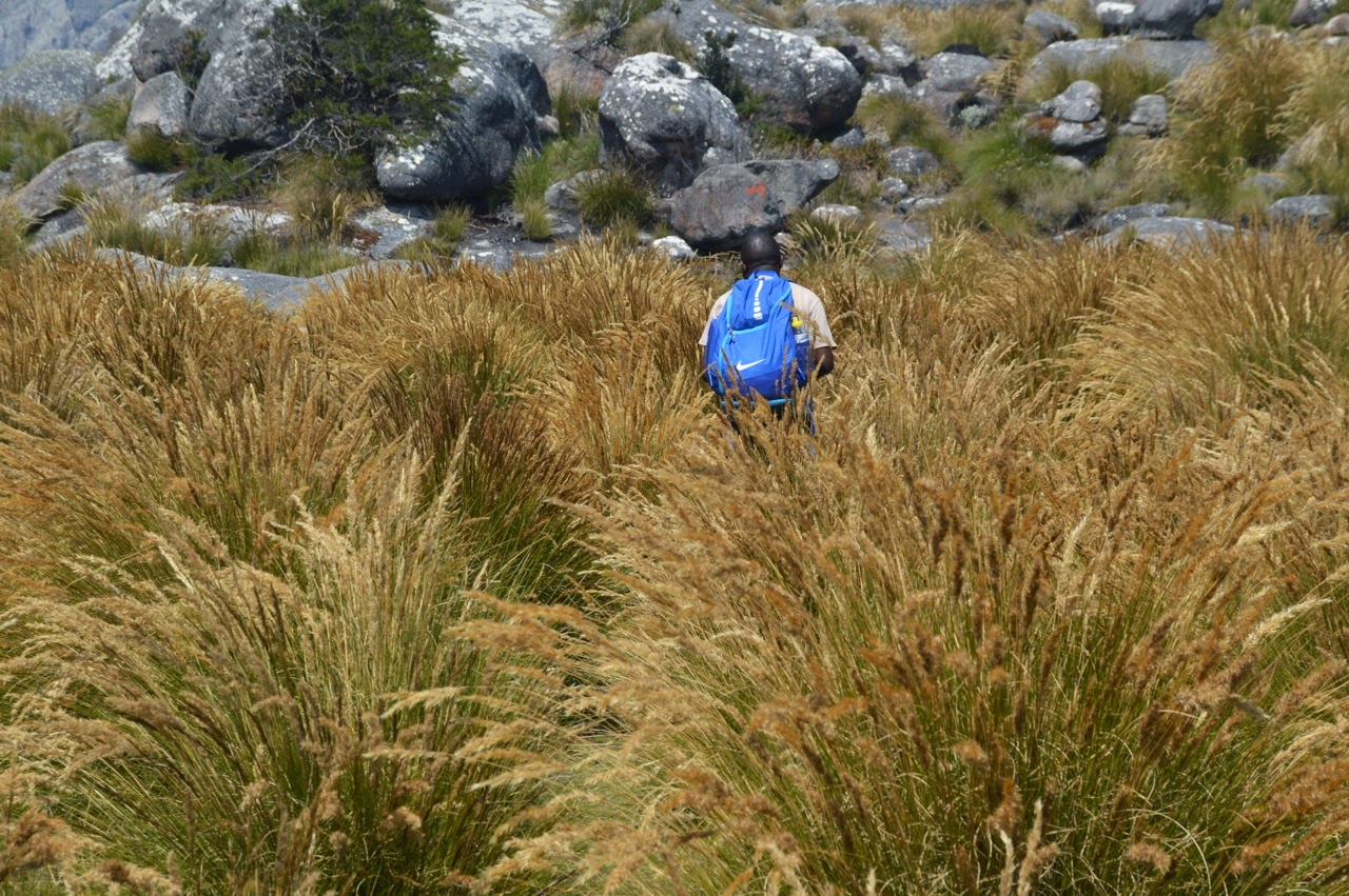 Mulanje Mountain Trek: Climbing Mount Sapitwa