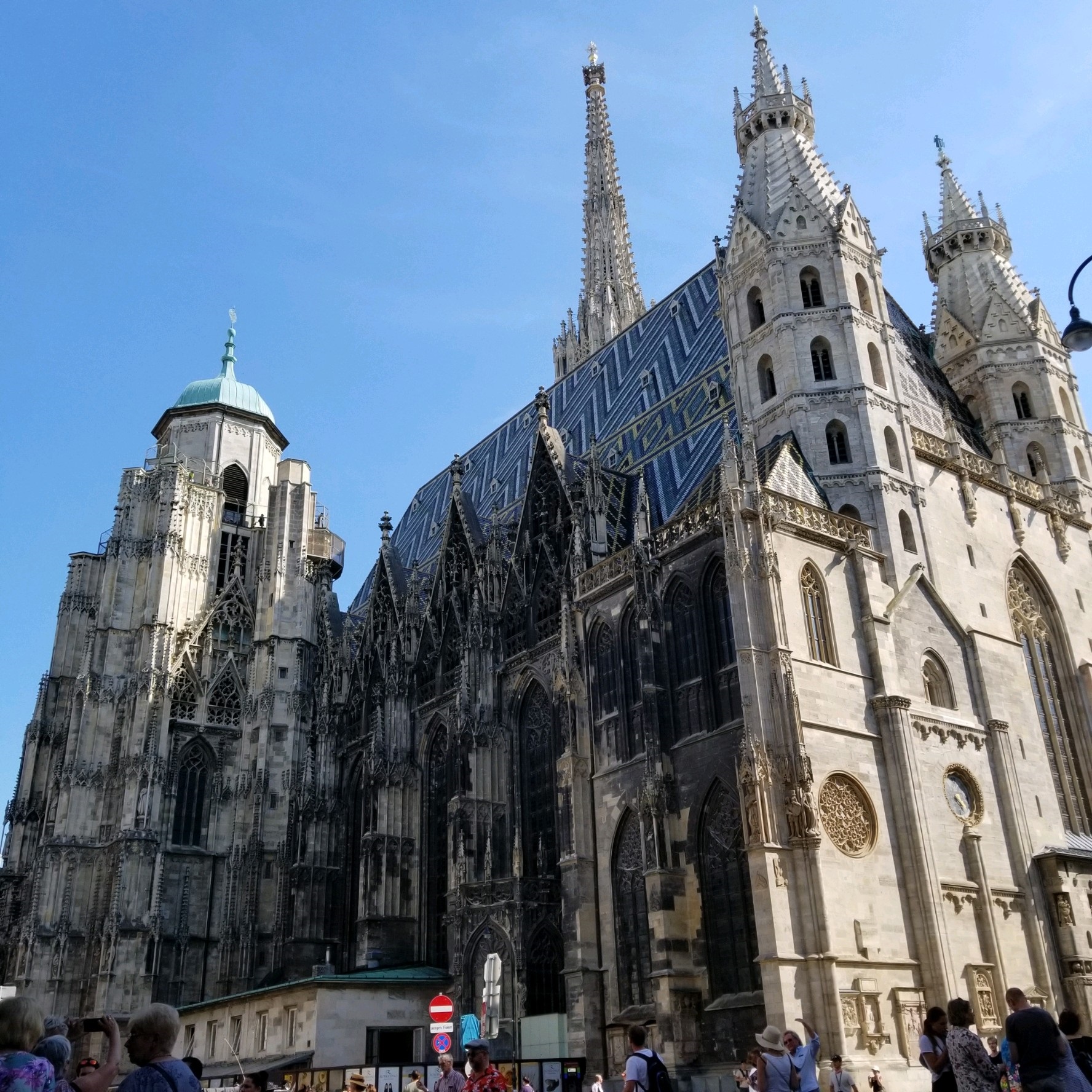 Forrest for the Trees: Vienna Part I