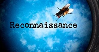 True Book Addict...Books, Cats, and More: Anne Higgins' Reconnaissance ...