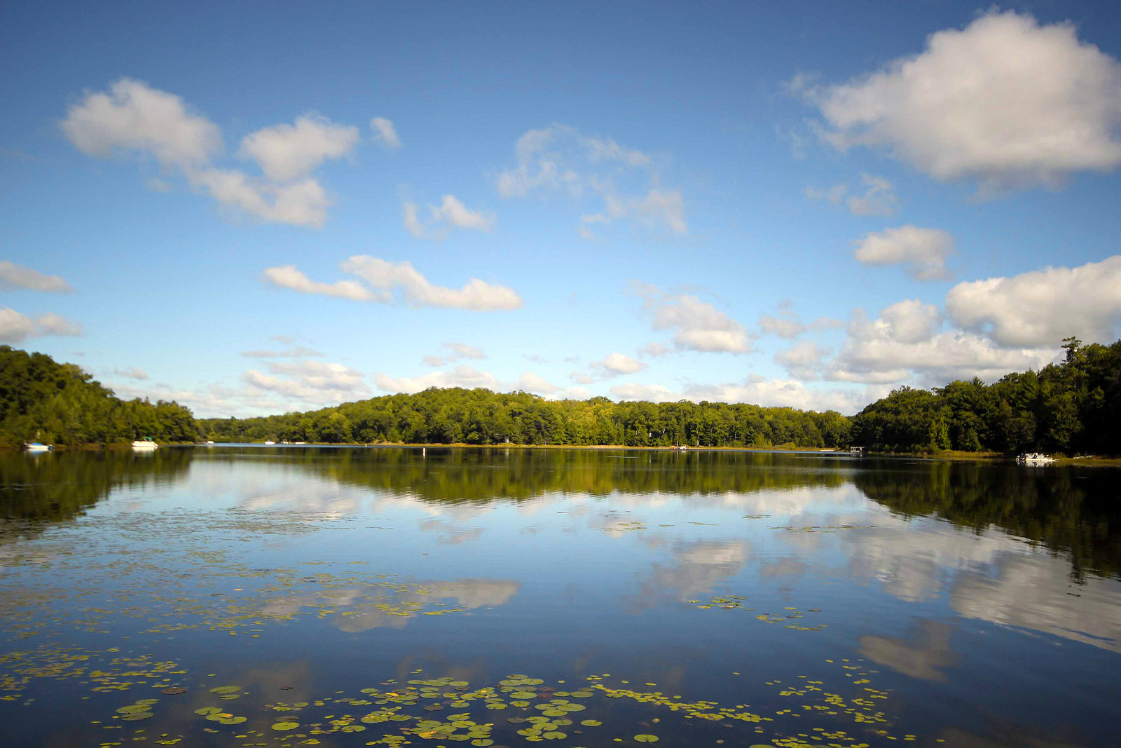 Hayward, WI Real Estate: 2016 Home Sales Data On Windigo Lake