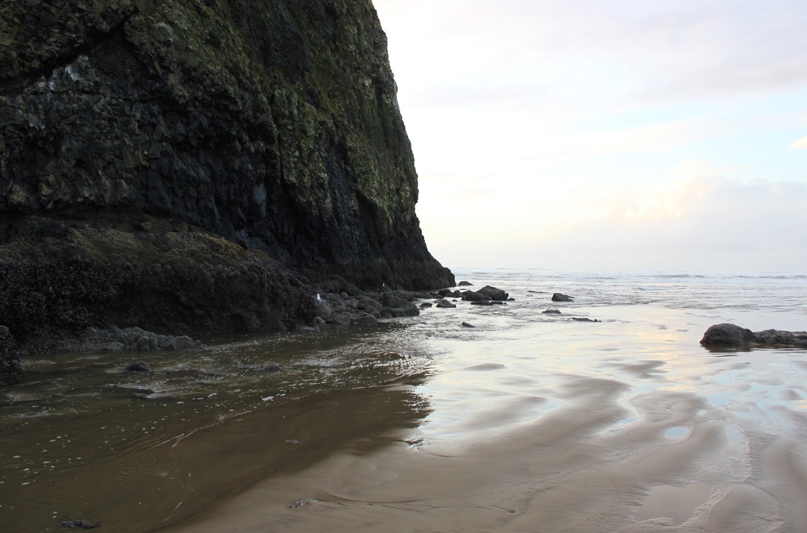Life's a Trip: Oregon: Haystack Rock>>Seaside>>Astoria