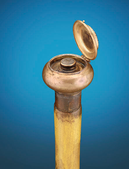 Dioramas and Clever Things: Can your can do this? Gadget Canes Part I