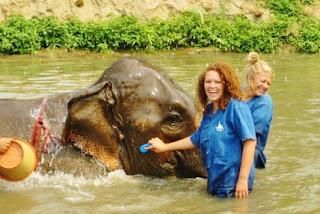 Wander: Bungee Jumping and a day with the Elephants!