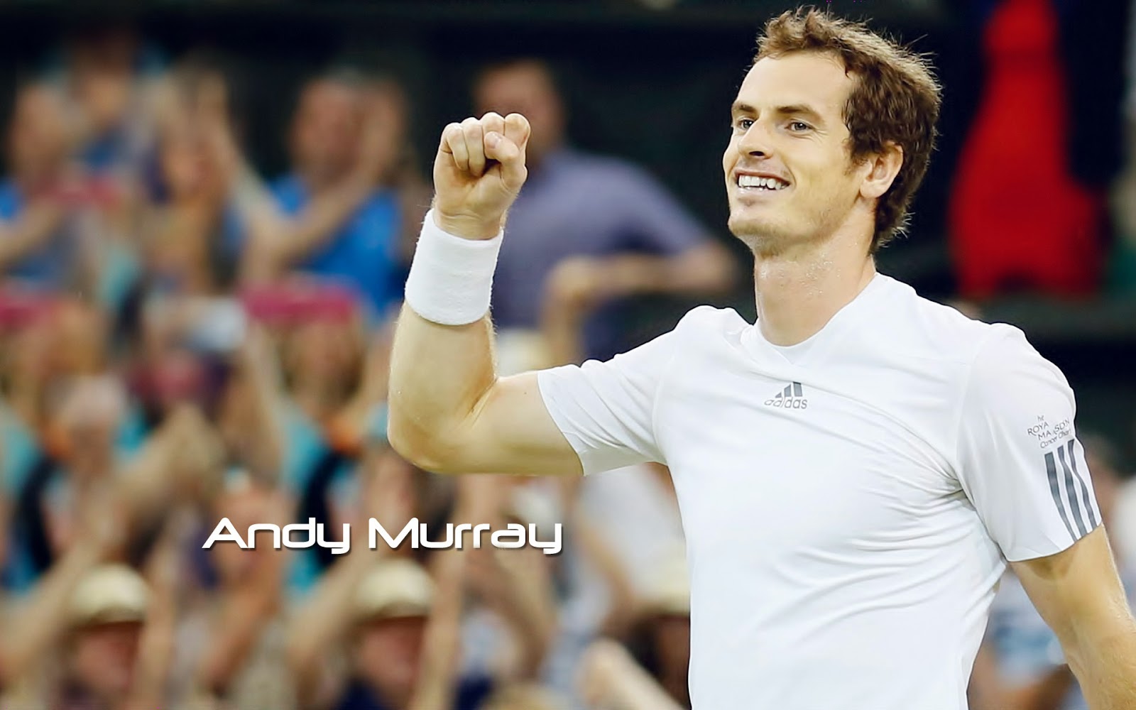 Andy Murray Brand New HD Wallpaper's 2014-15 | Sports HD Wallpapers