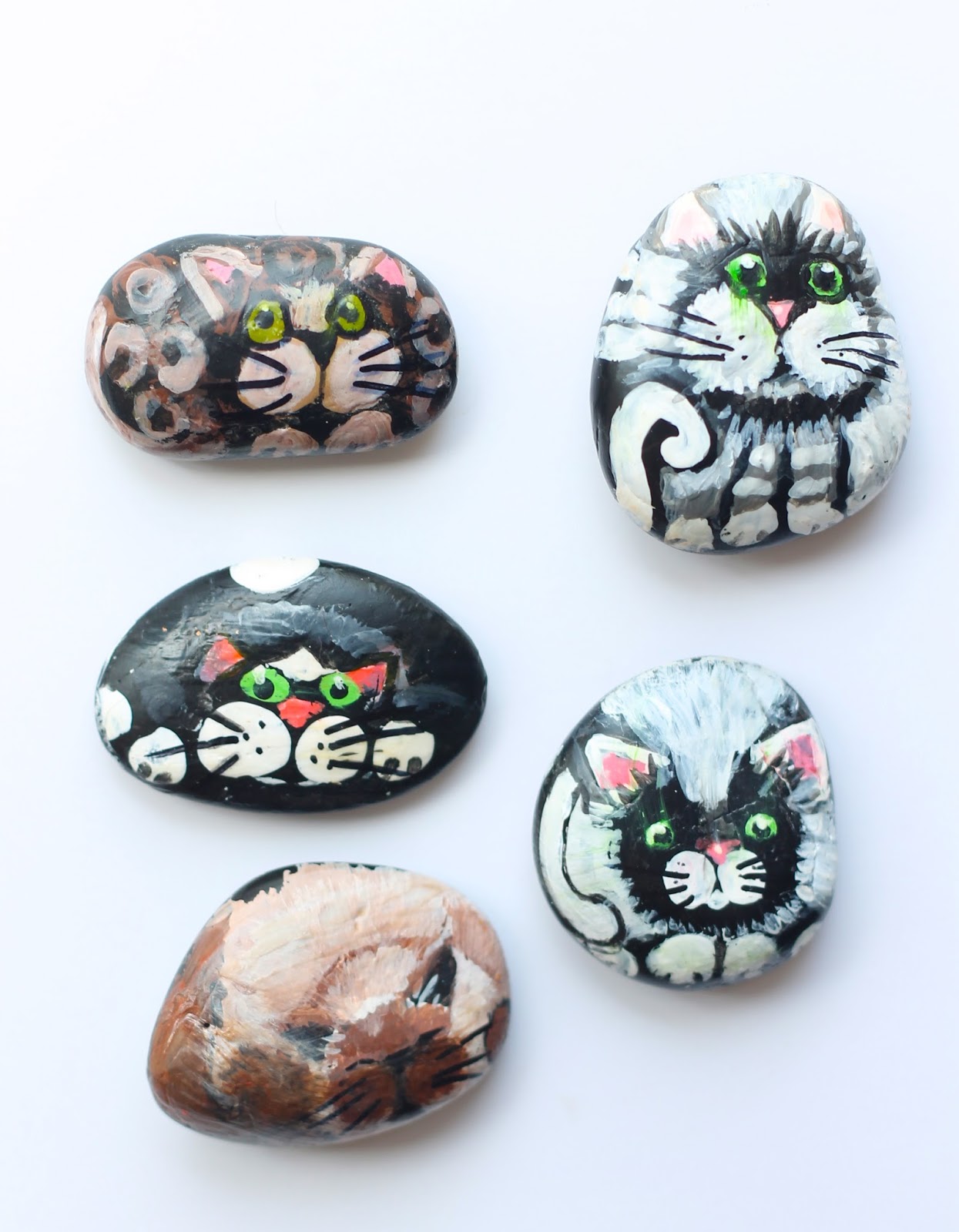 Where Your Treasure Is: How to Paint Cats on Rocks