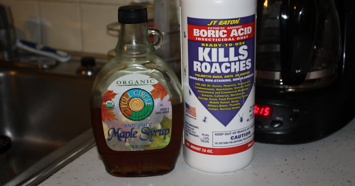 mommy's reviews: Ant Killer Recipe...