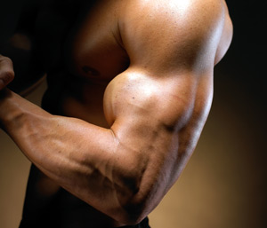 bodybuilding: 10 Ultimate Tips For Building The Big Biceps You Deserve