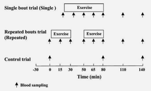 PHYSICAL ACTIVITY, EXERCISE, SPORT AND HEALTH