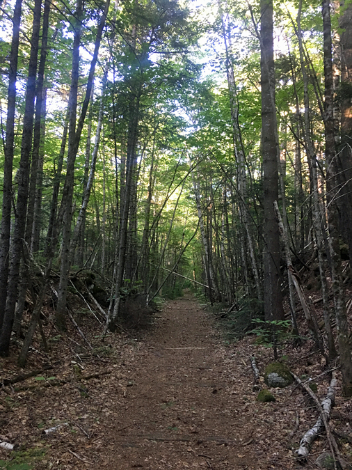 Hiking in the White Mountains: Presidential Range Traverse & Pemi Loop ...