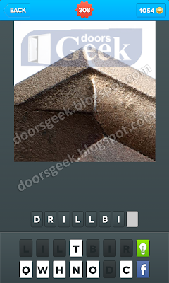 Zoomed In - Photo Word Game Level 308 ~ Doors Geek